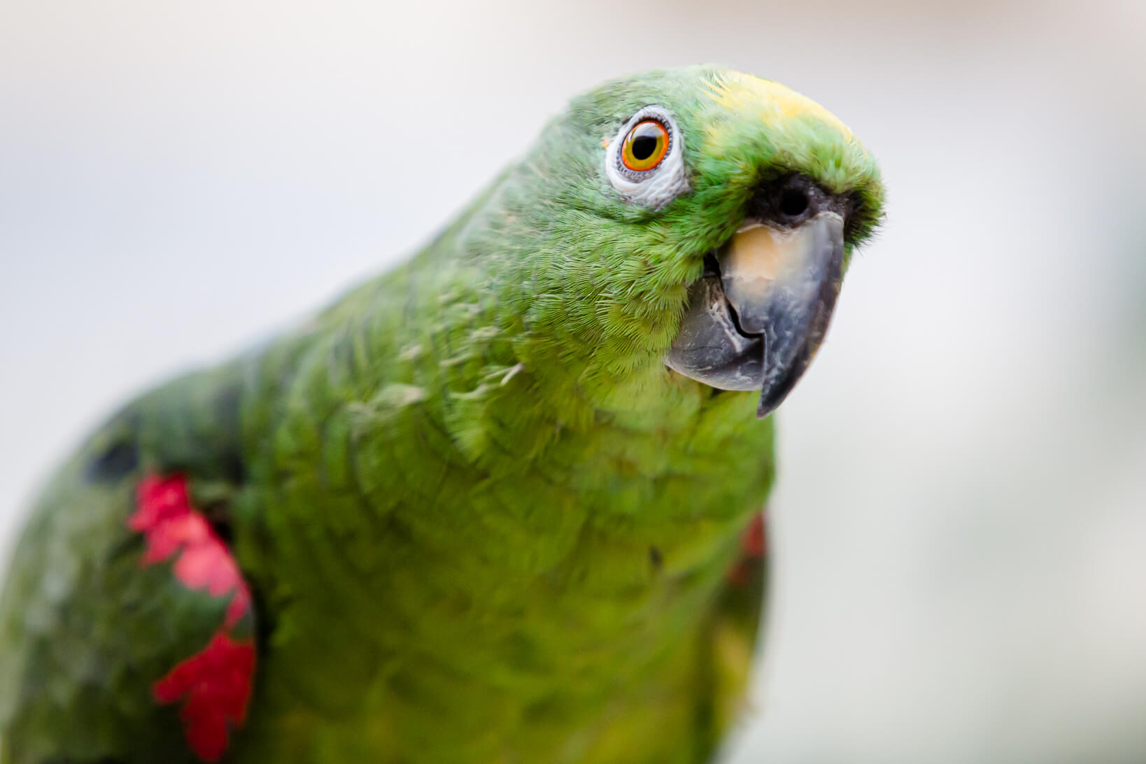 Amazon Research - Jaslyn Gilbert Photography