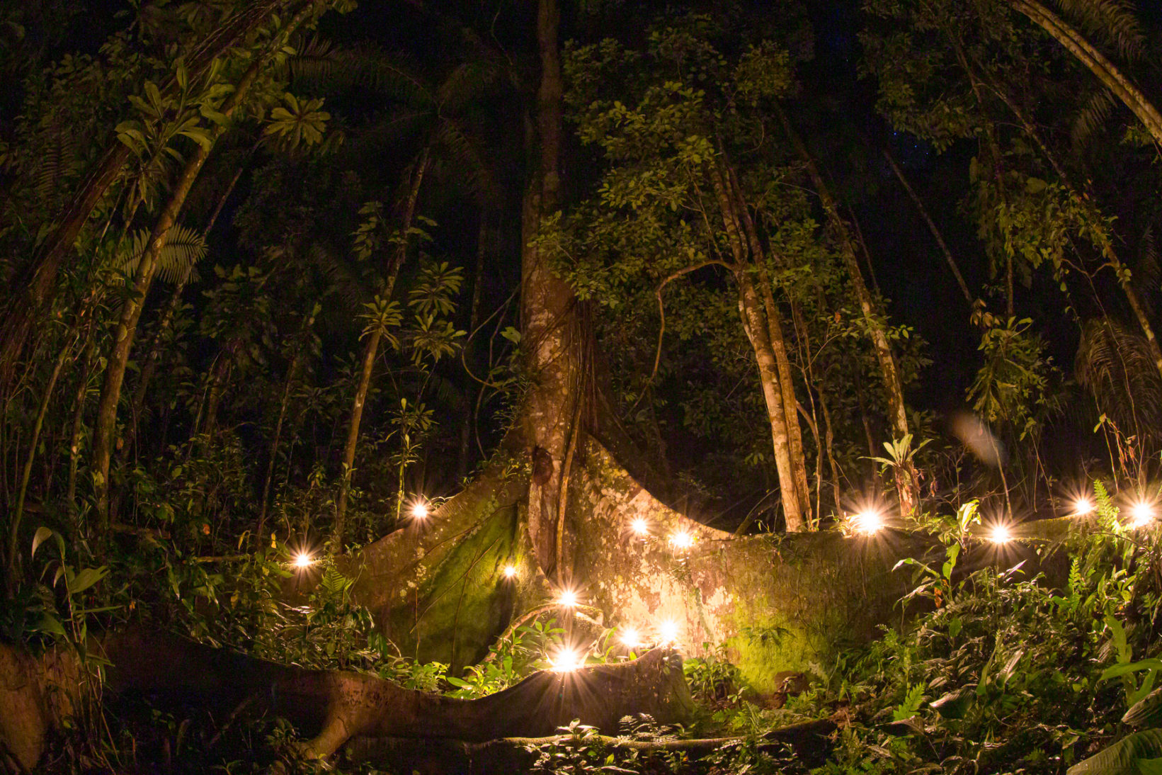 Amazon Research - Jaslyn Gilbert Photography