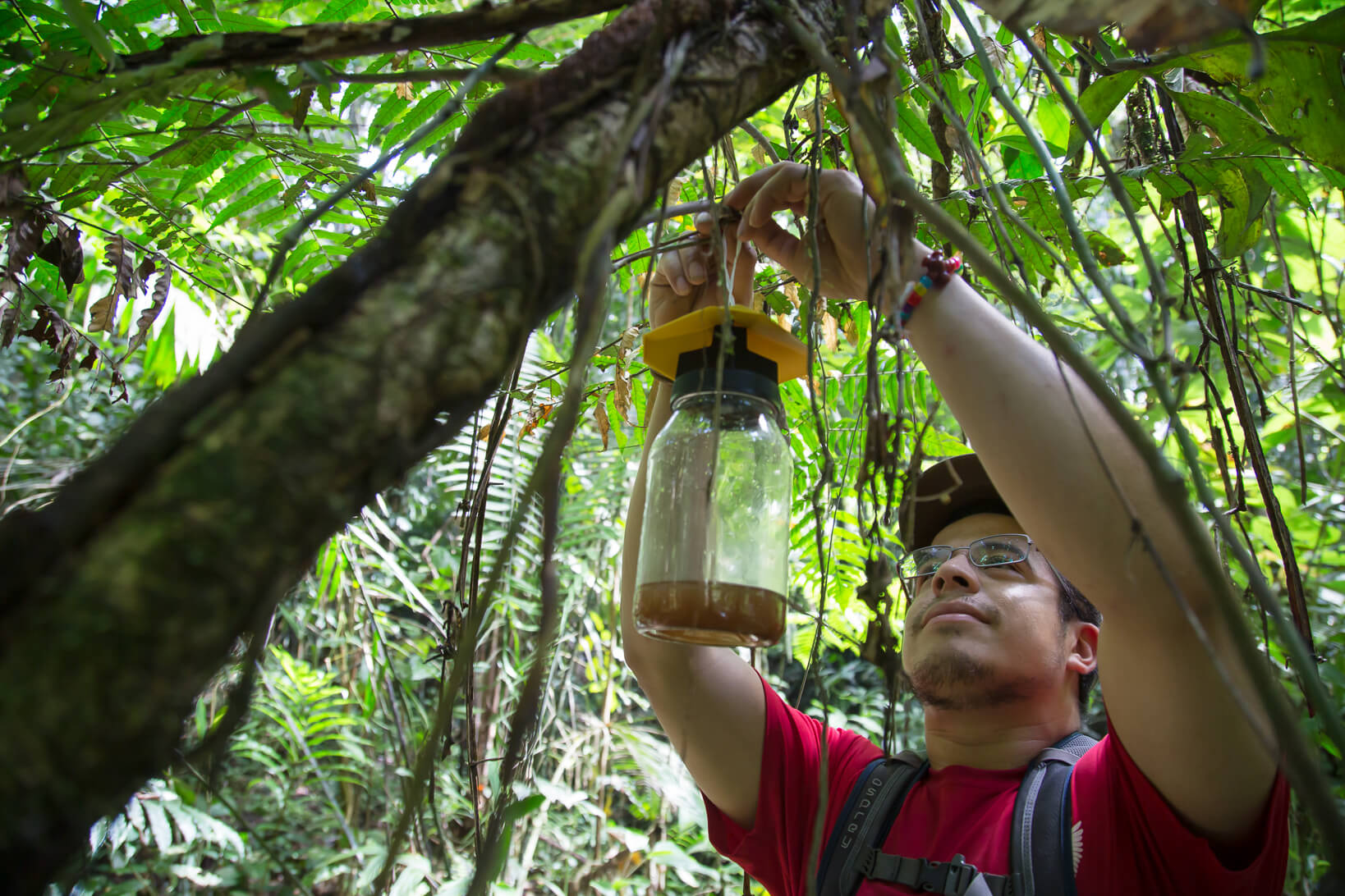 Amazon Research - Jaslyn Gilbert Photography