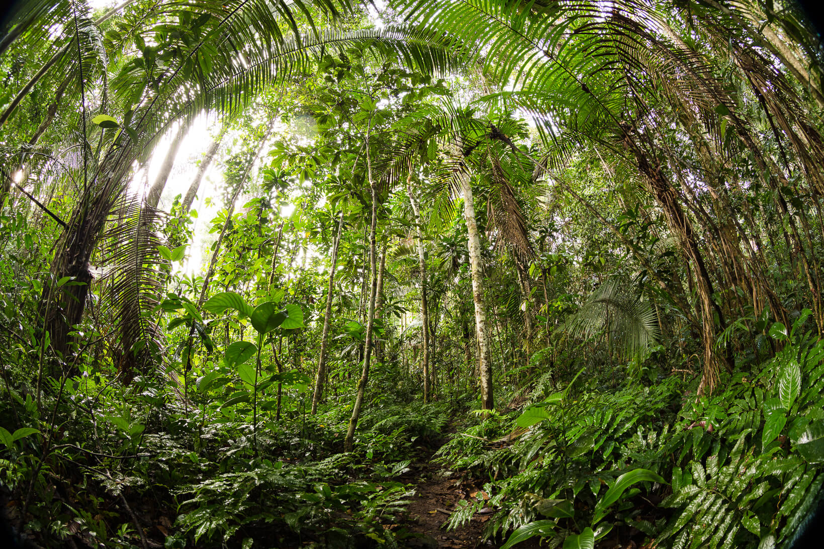 Amazon Research - Jaslyn Gilbert Photography